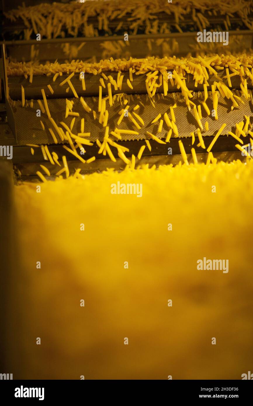 Production line of a potato factory. French fries - fast food Stock ...