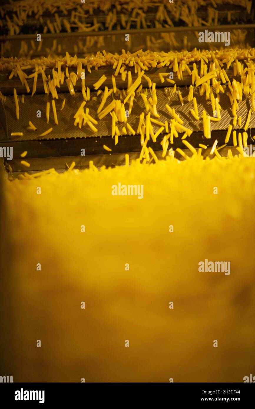 Production line of a potato factory. French fries - fast food Stock ...