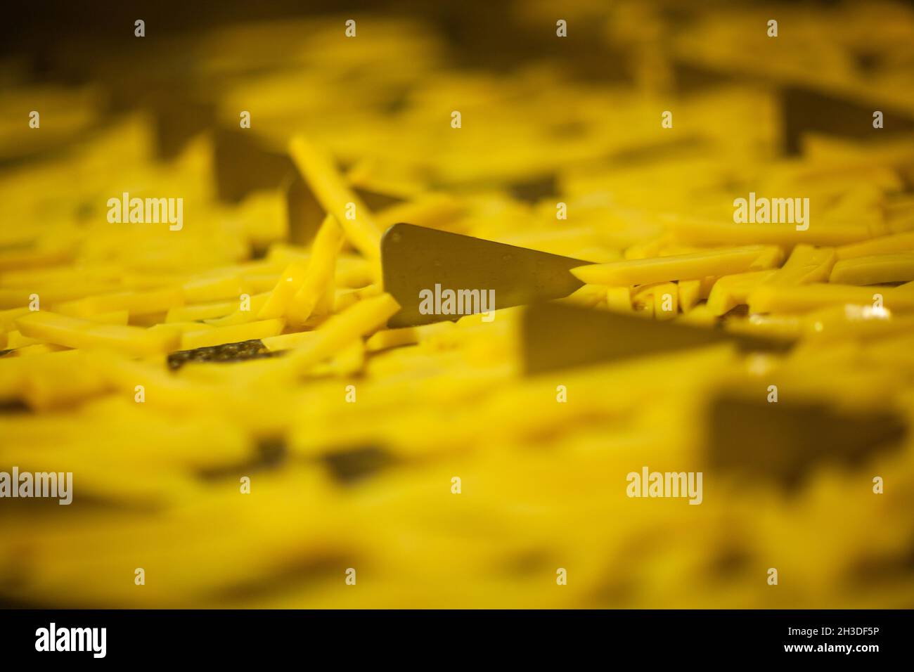 Production line of a potato factory. French fries - fast food Stock ...