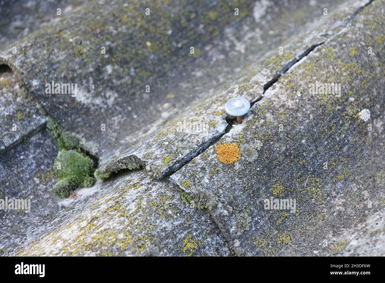 Asbestos sheets hi-res stock photography and images - Alamy