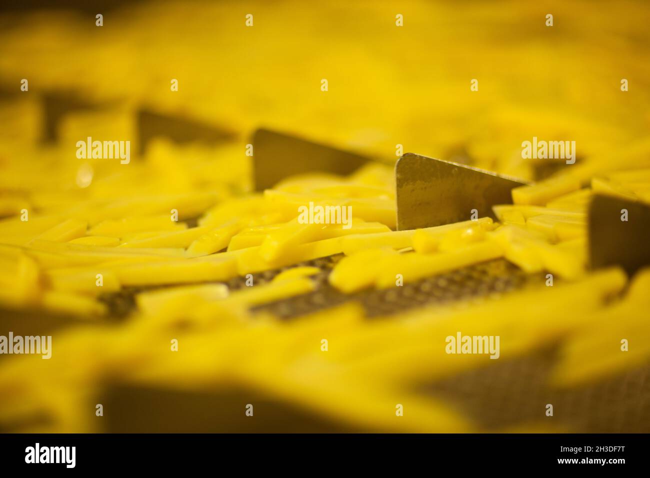 Production line of a potato factory. French fries - fast food Stock ...