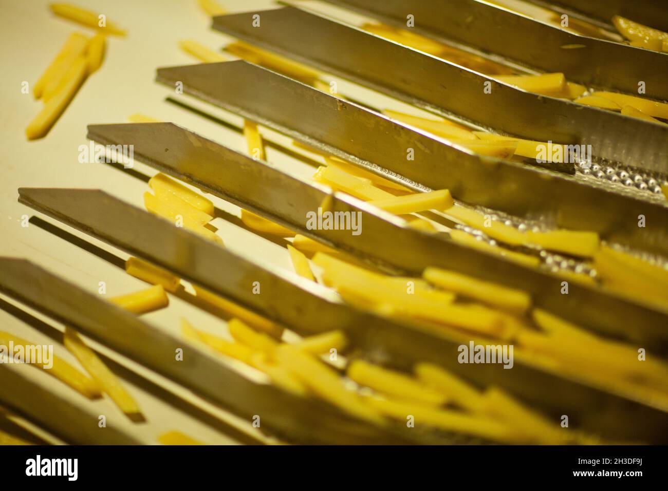 Production line of a potato factory. French fries - fast food Stock ...