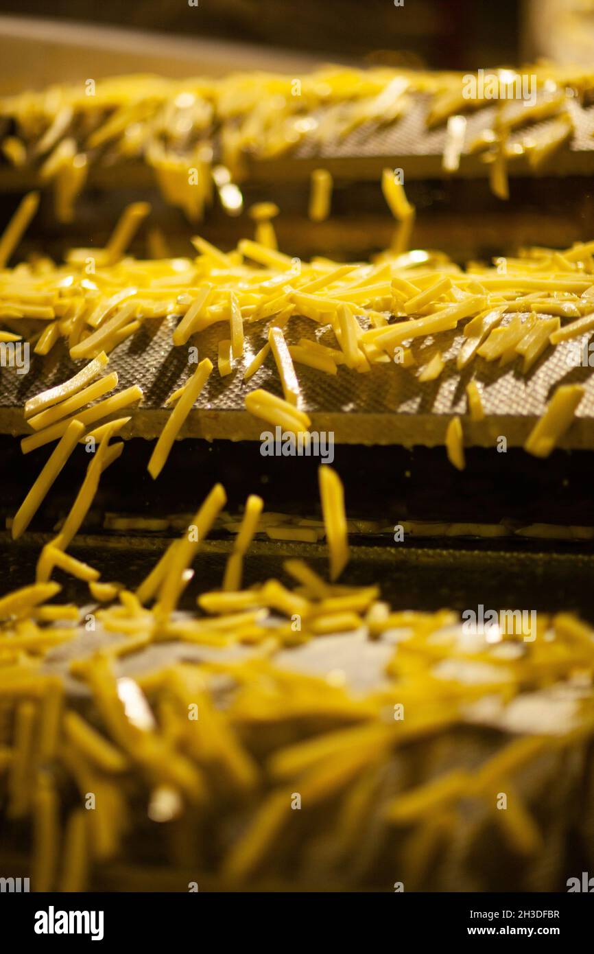 Production line of a potato factory. French fries - fast food Stock ...