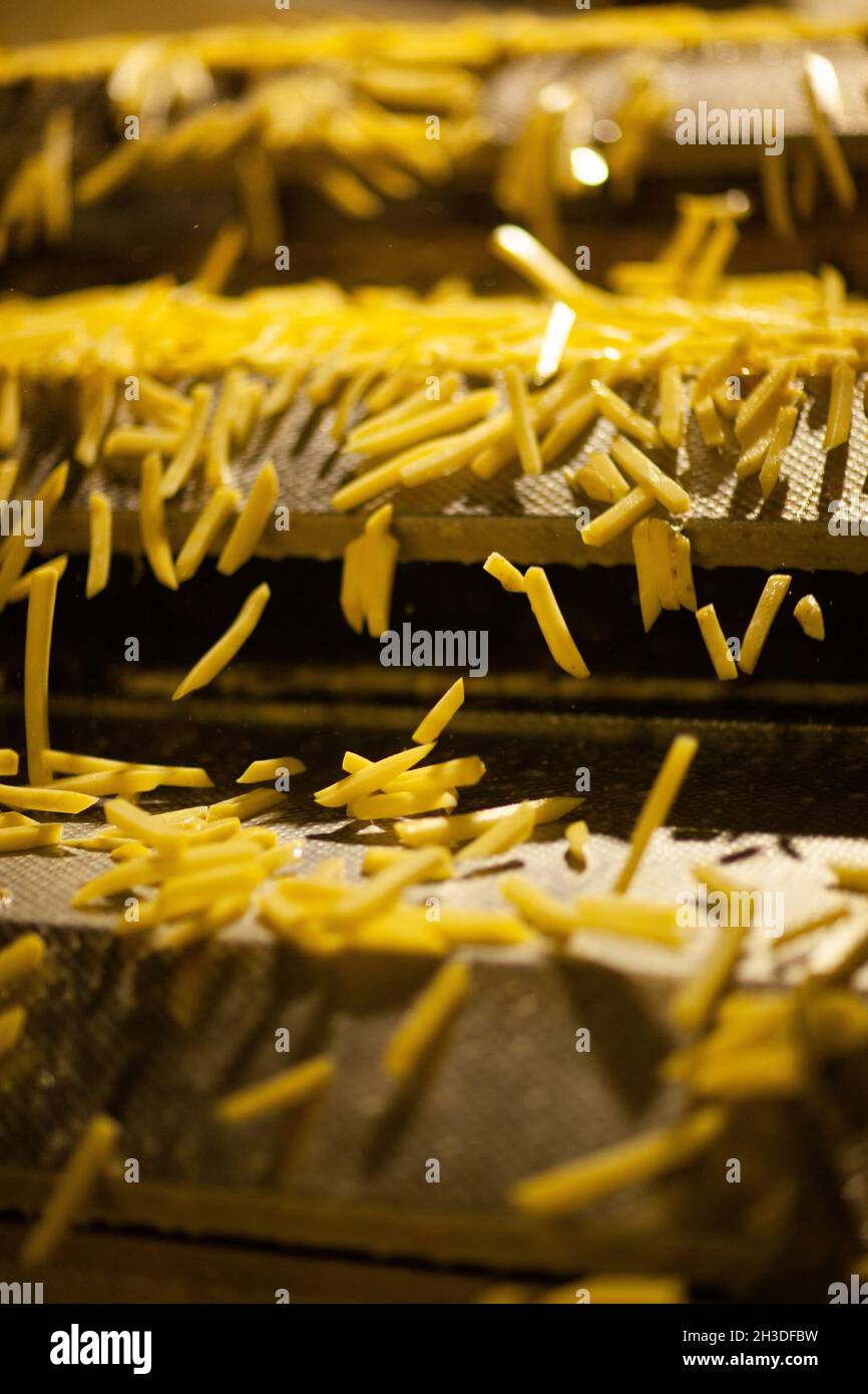 Production line of a potato factory. French fries - fast food Stock ...