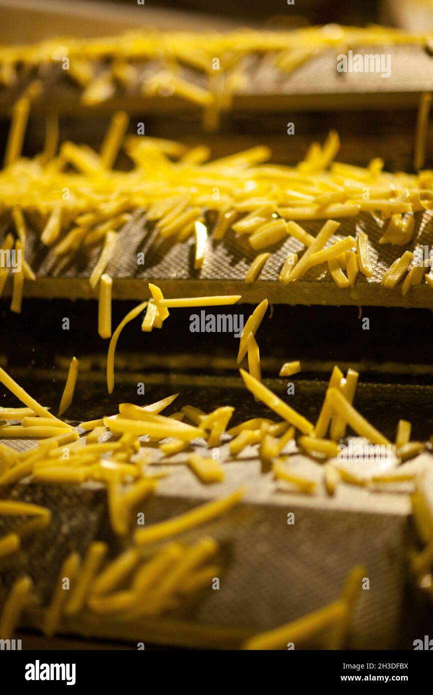 Production line of a potato factory. French fries - fast food Stock ...