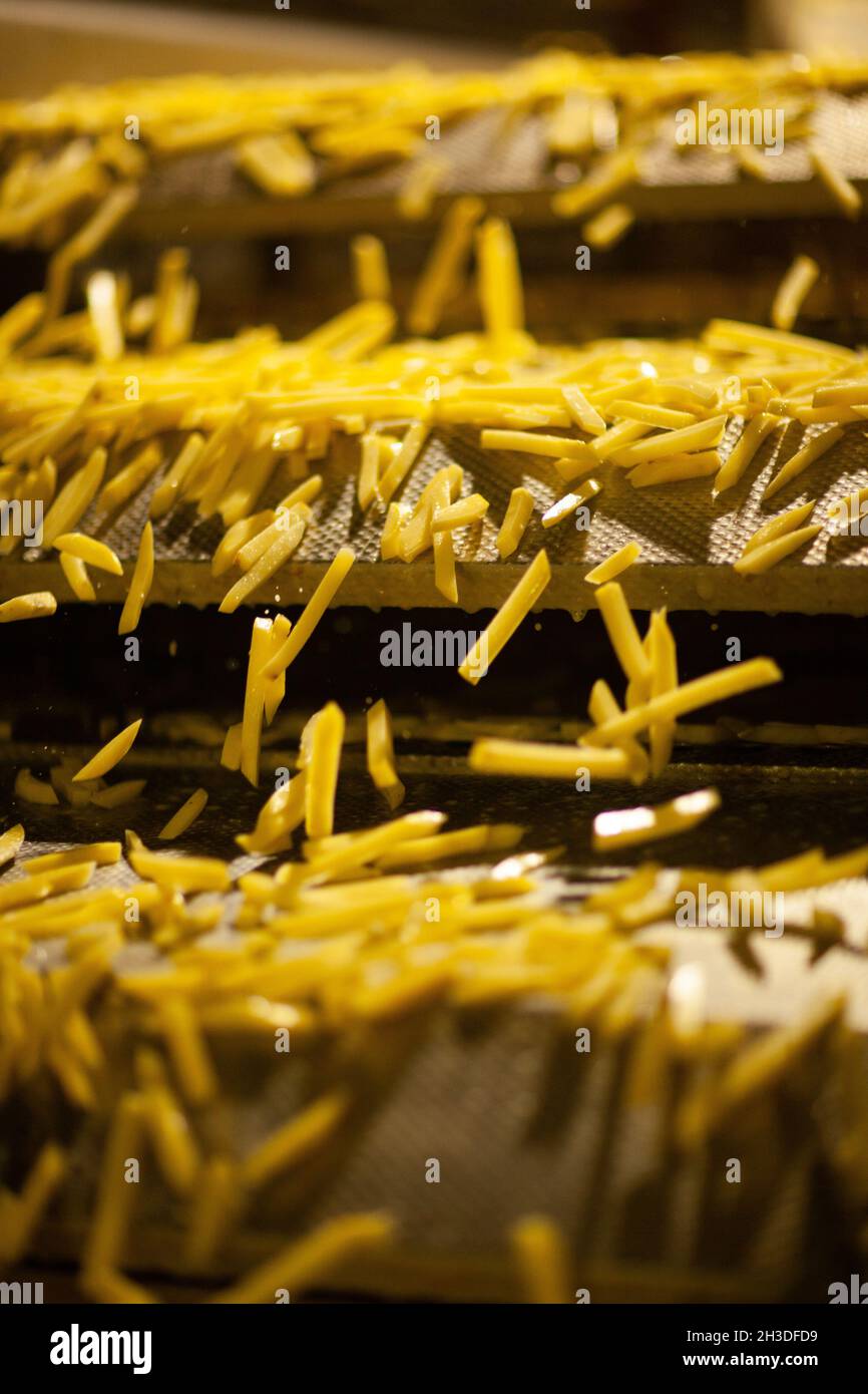 Production line of a potato factory. French fries - fast food Stock ...