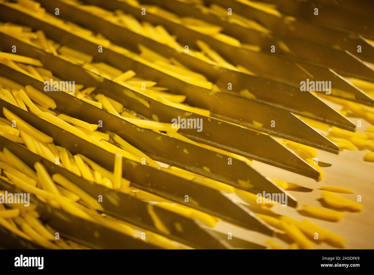 Production line of a potato factory. French fries - fast food Stock ...