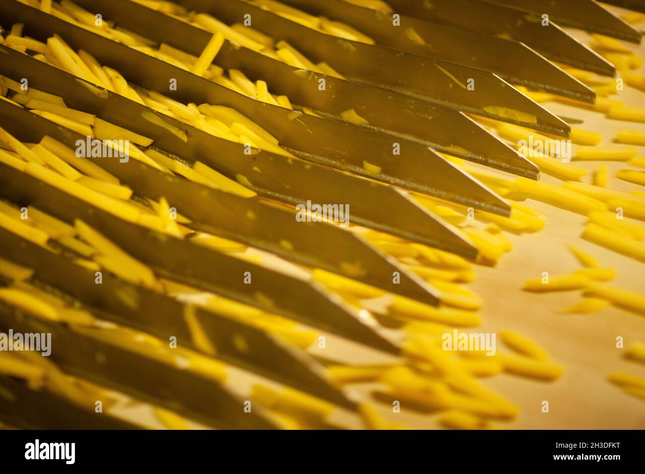 Production line of a potato factory. French fries - fast food Stock ...