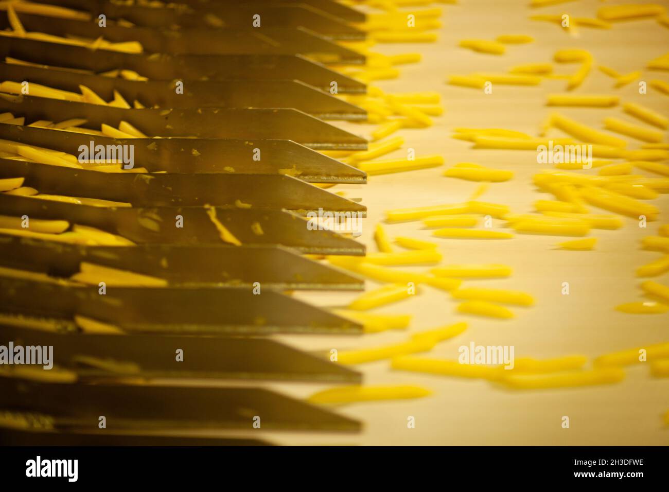 Production line of a potato factory. French fries - fast food Stock ...