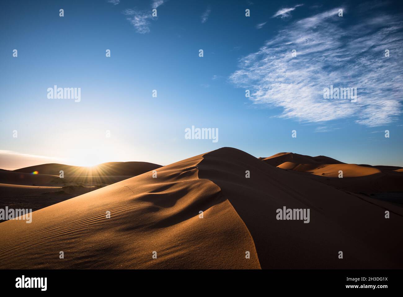 Shot of a dry sandy desert Stock Photo - Alamy