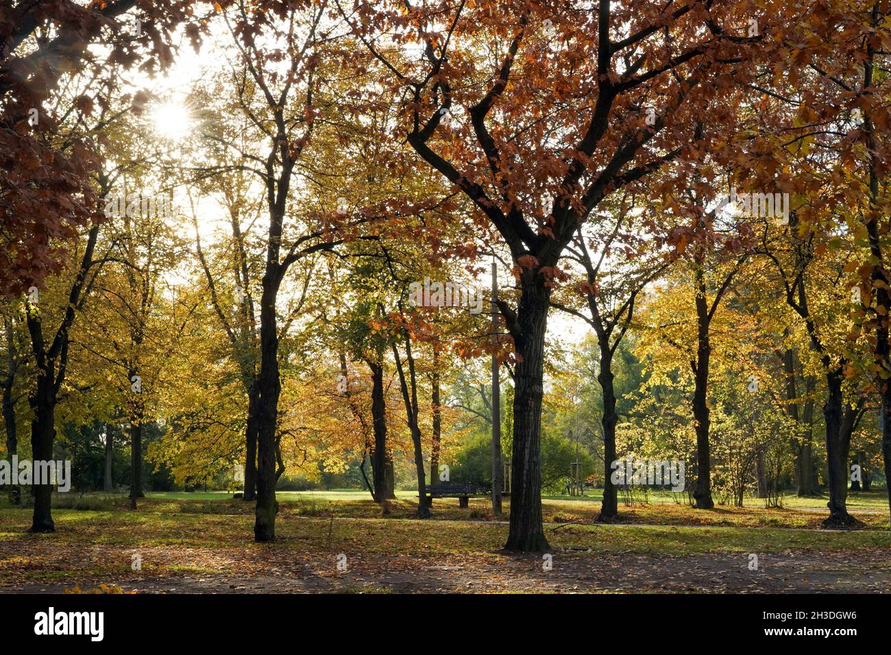 Kulz hi-res stock photography and images - Alamy