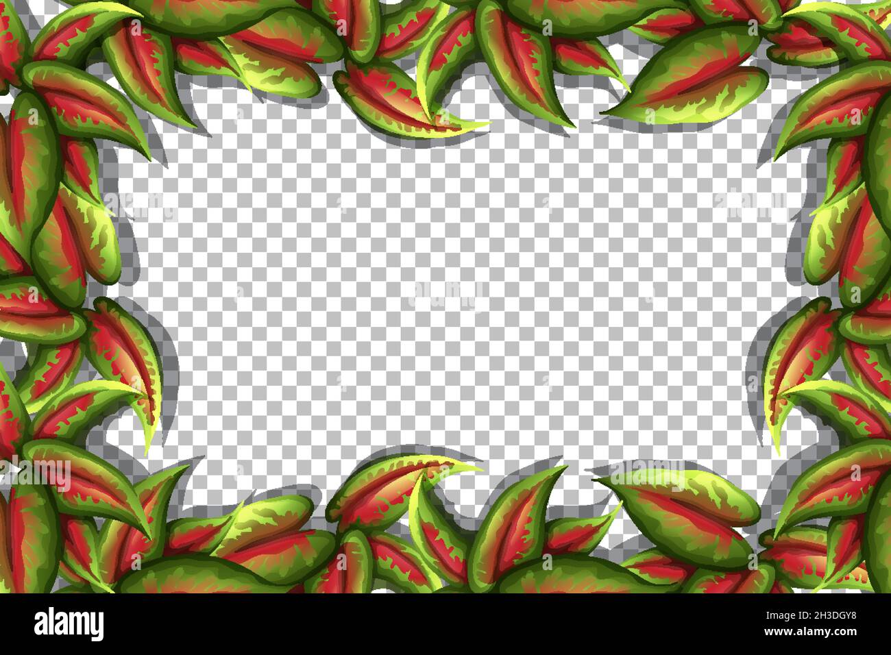 Nature plants frame transparent background illustration Stock Vector ...