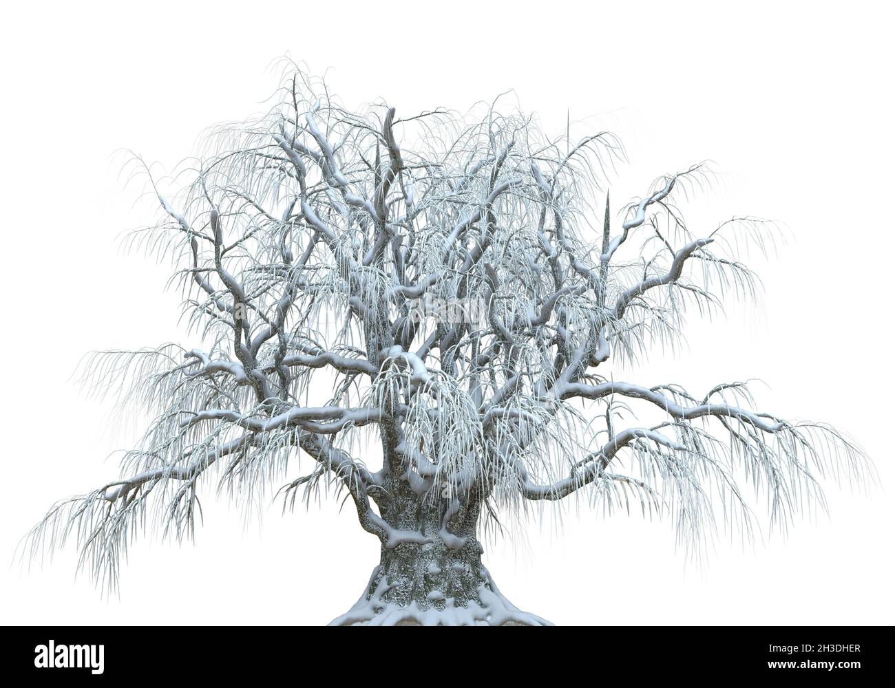 3D illustration winter tree under the snow isolated on white background ...