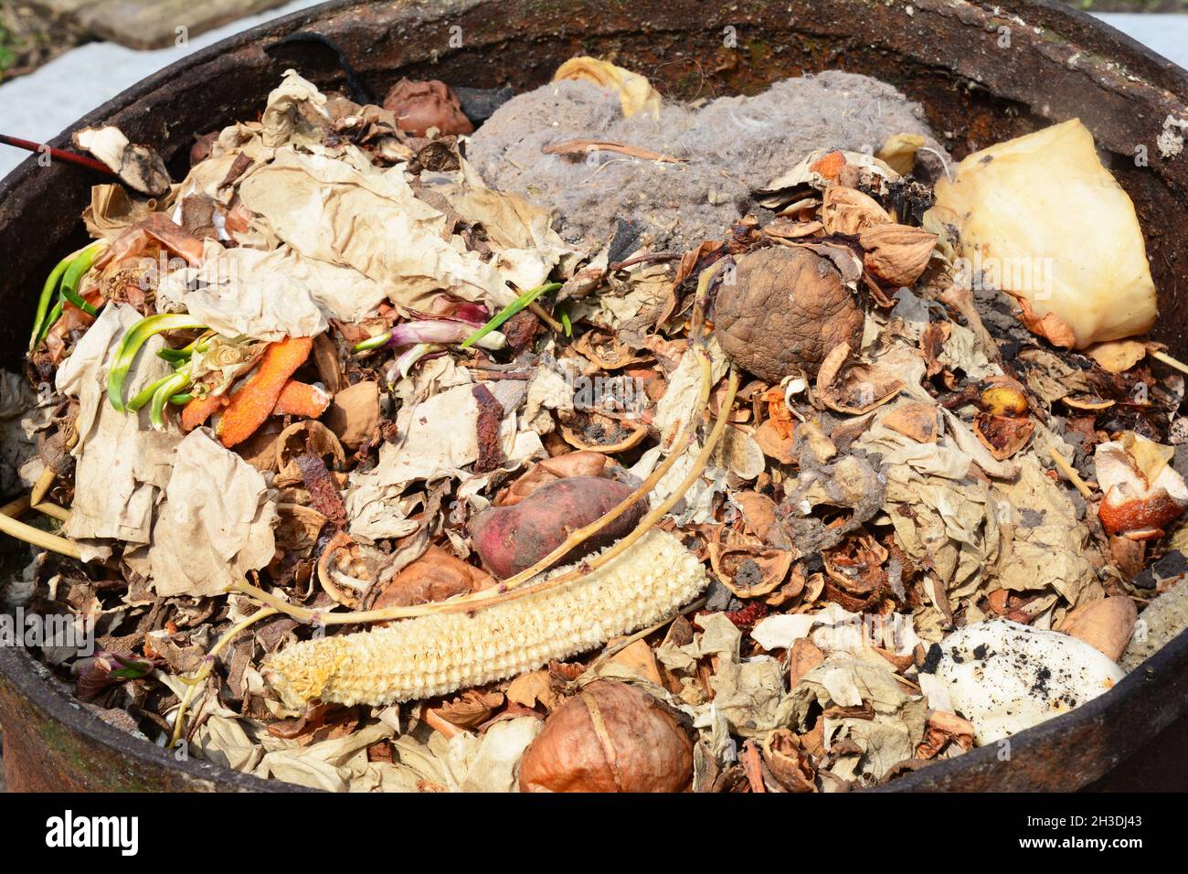 Compost Bin with Food Scraps Stock Photo - Alamy