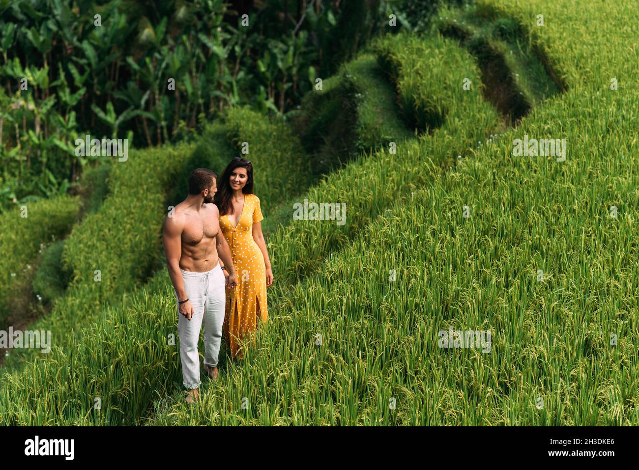 Rice terraces india hi-res stock photography and images - Alamy