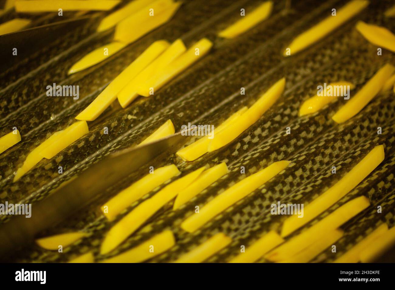 Production line of a potato factory. French fries - fast food Stock ...