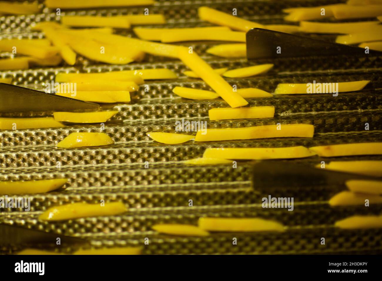 Production line of a potato factory. French fries - fast food Stock ...
