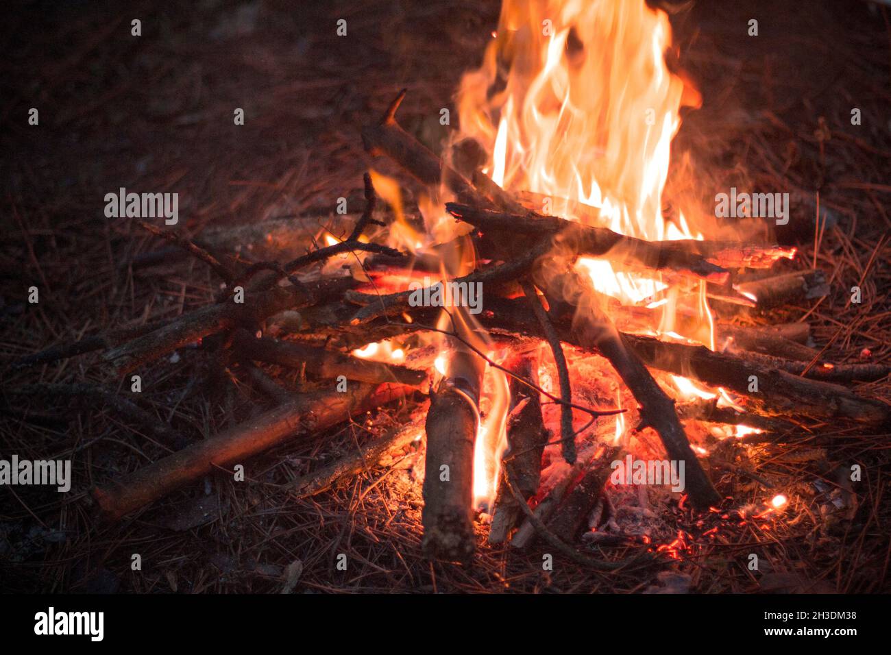 night bonfire, photograph of the hearth, burning bonfire, tourism Stock ...