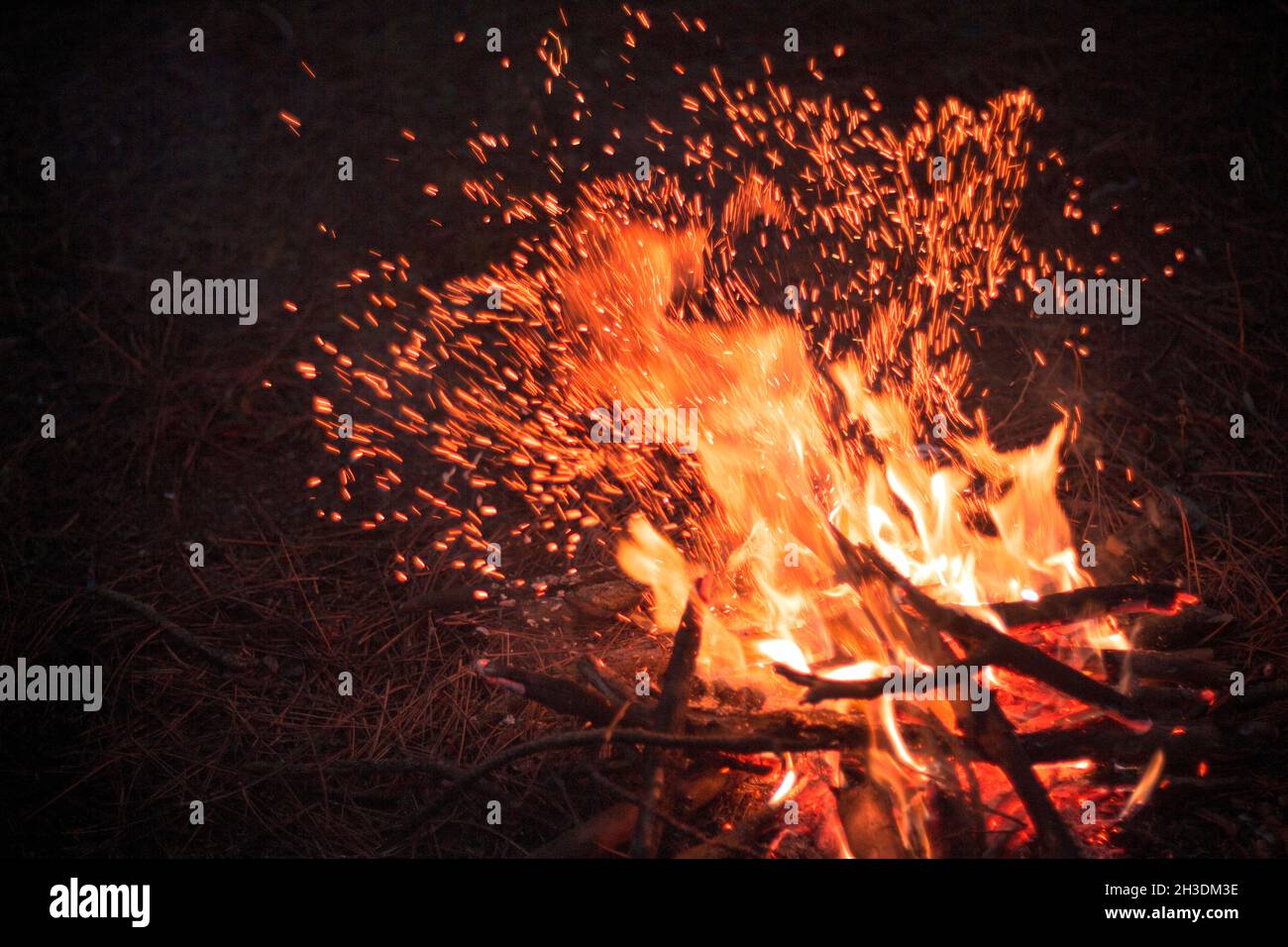 night bonfire, photograph of the hearth, burning bonfire, tourism Stock ...