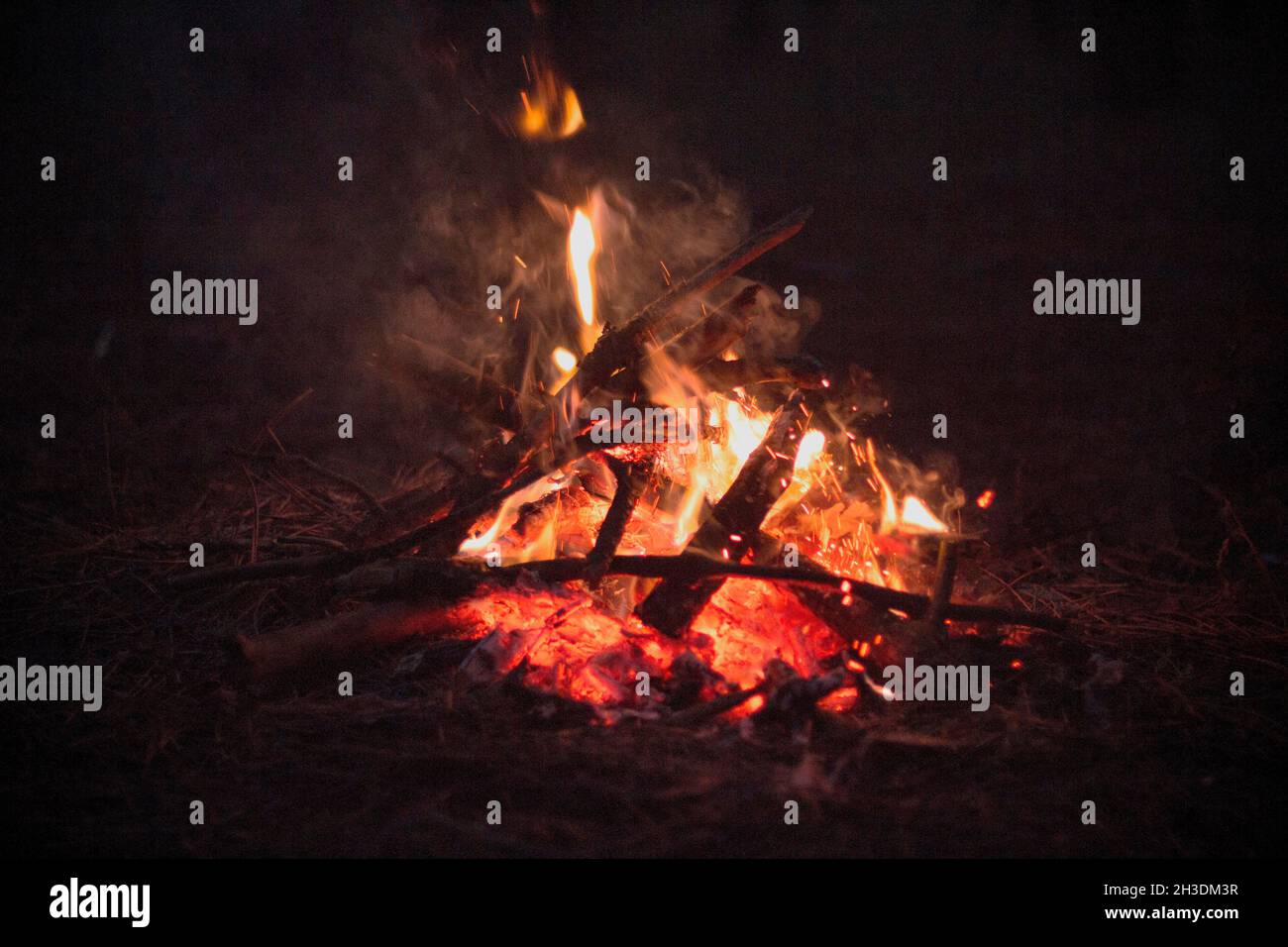 night bonfire, photograph of the hearth, burning bonfire, tourism Stock ...
