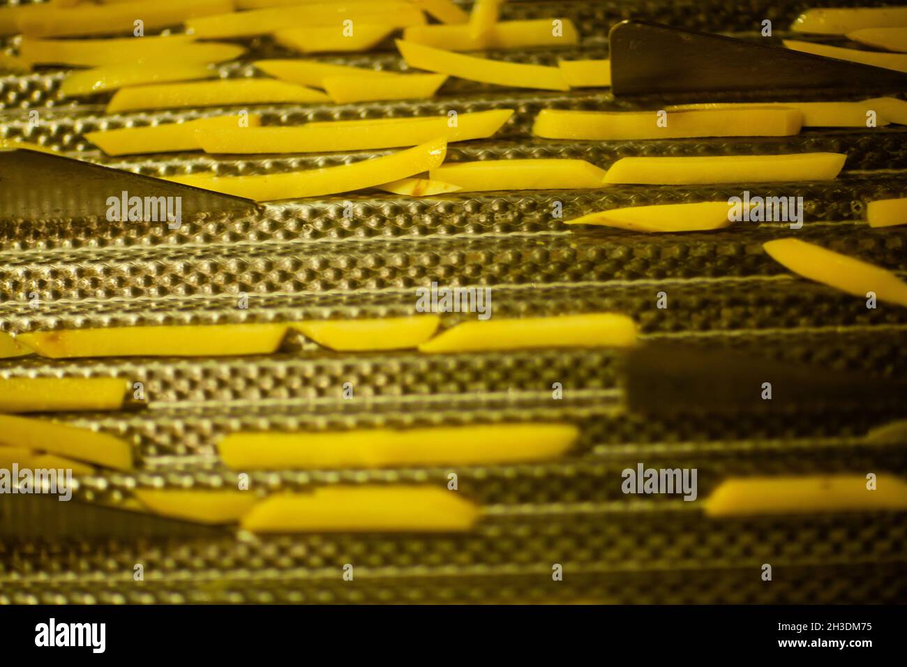 Production line of a potato factory. French fries - fast food Stock ...