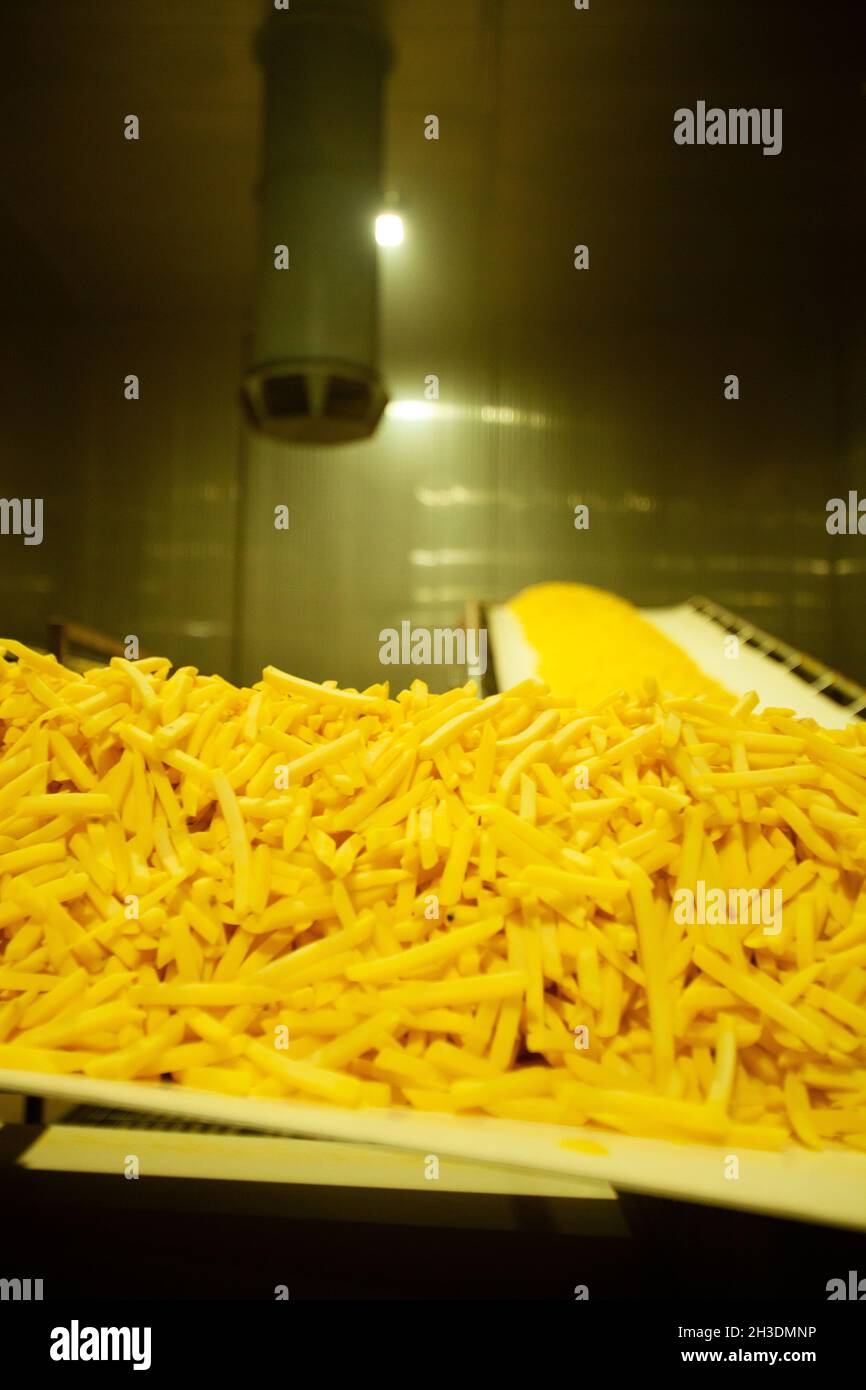 Production line of a potato factory. French fries - fast food Stock ...