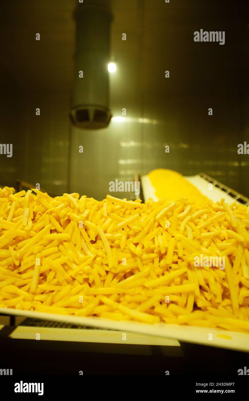 Production line of a potato factory. French fries - fast food Stock ...