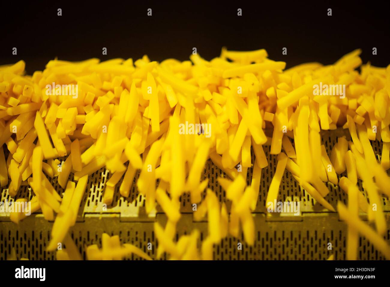 Production line of a potato factory. French fries - fast food Stock ...