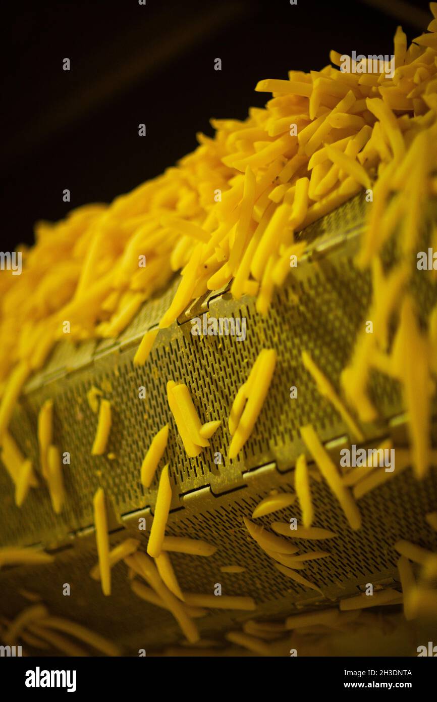 Production line of a potato factory. French fries - fast food Stock ...