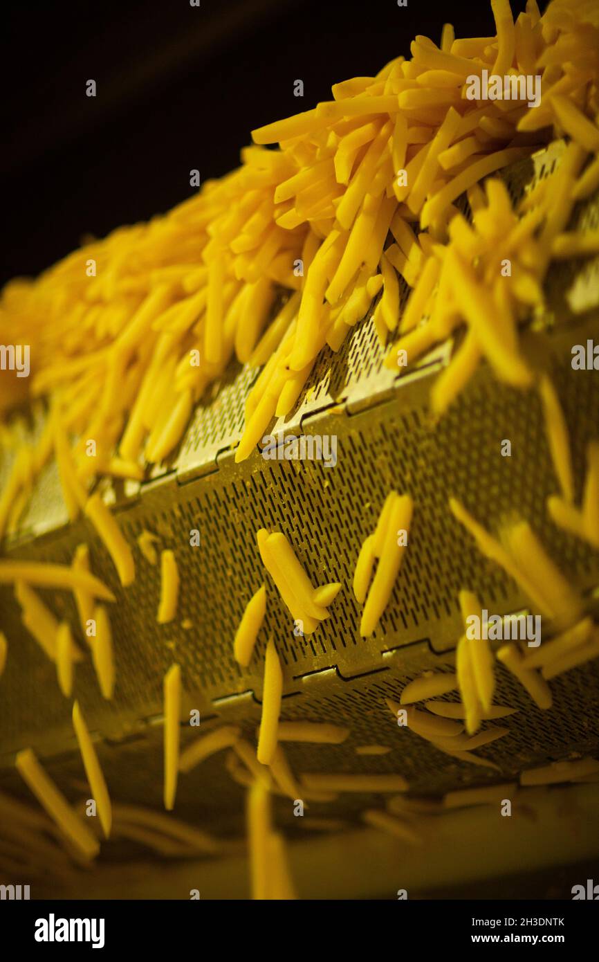 Production line of a potato factory. French fries - fast food Stock ...