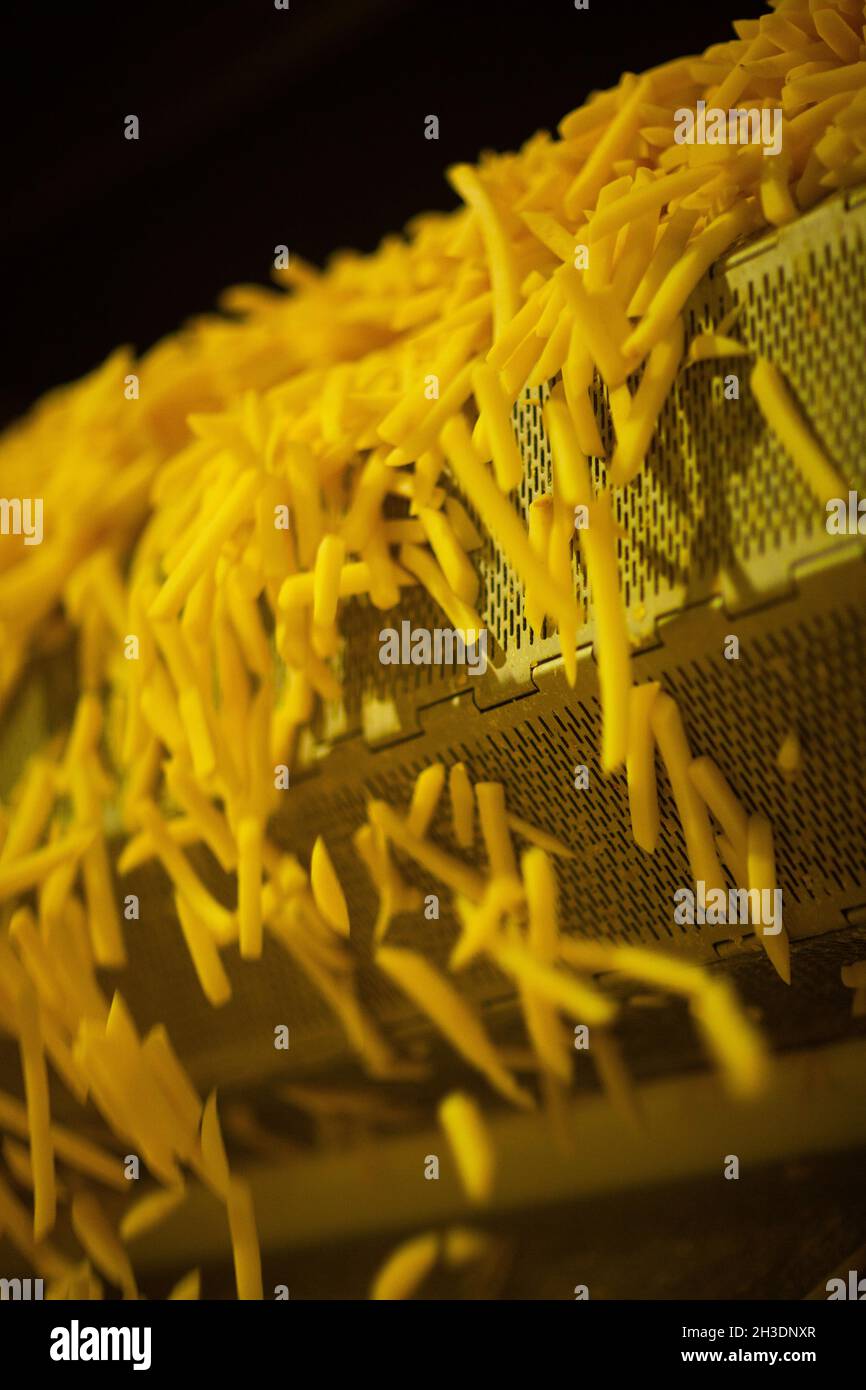 Production line of a potato factory. French fries - fast food Stock ...