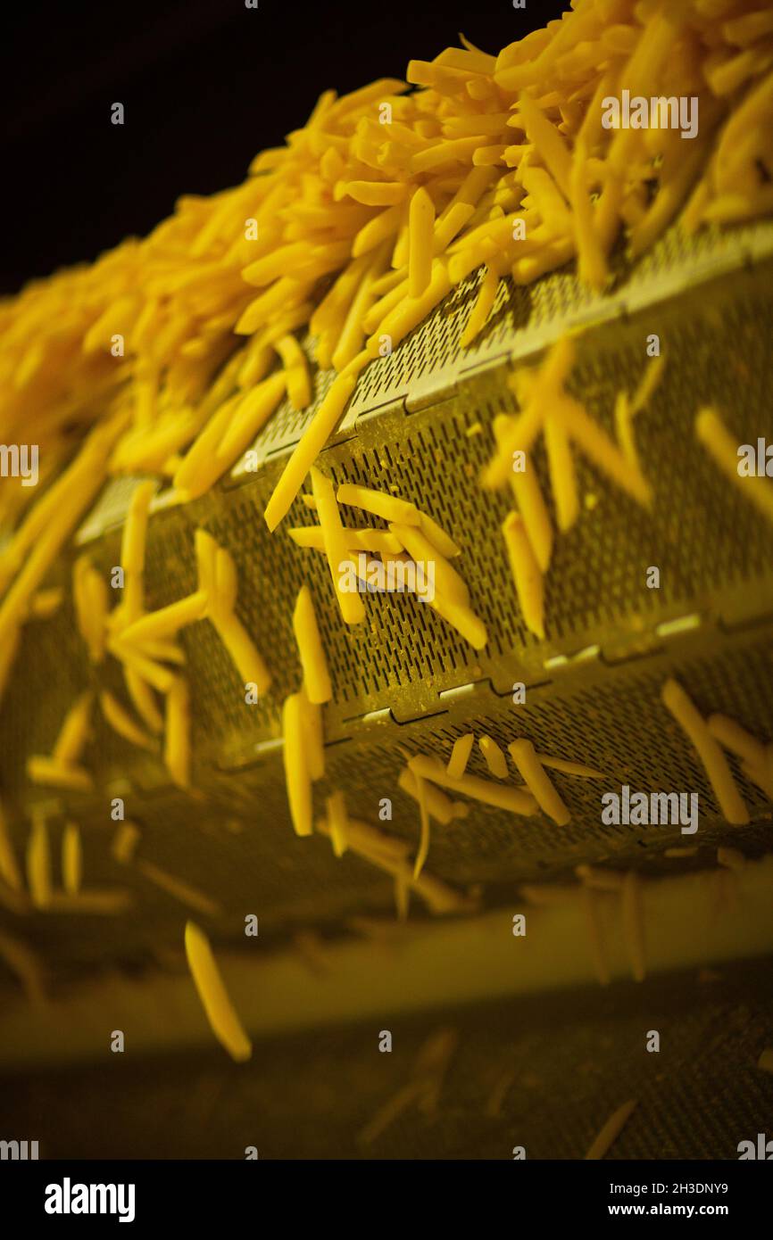Production line of a potato factory. French fries - fast food Stock ...