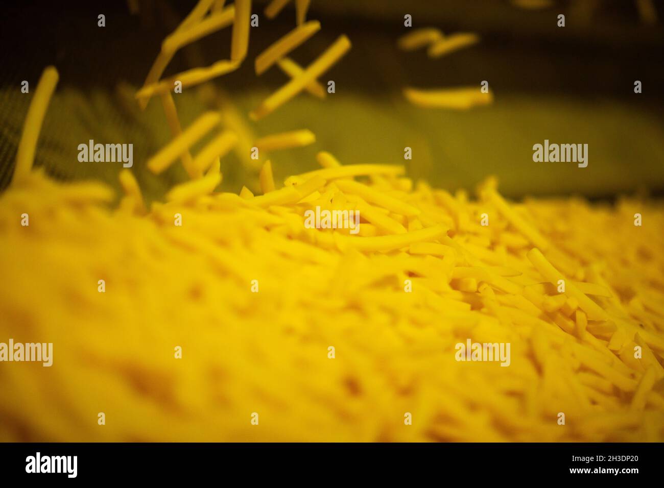 Production line of a potato factory. French fries - fast food Stock ...