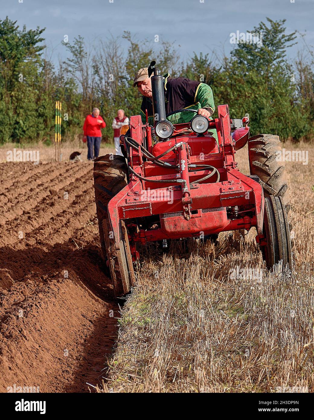 Red tractor head on at British Vintage Ploughing Match Stock Photo - Alamy