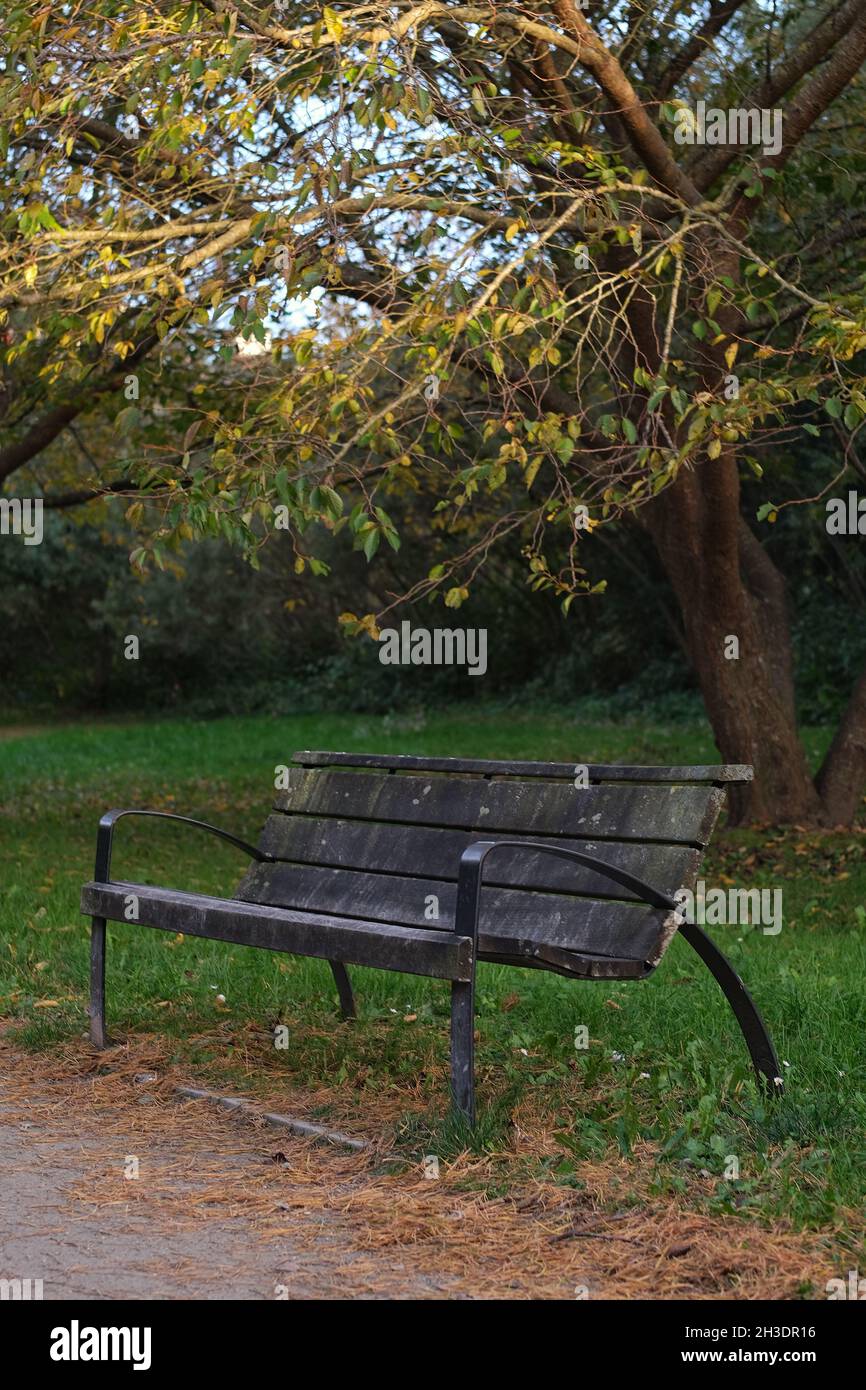 A lonely bench in autumn Stock Photo - Alamy