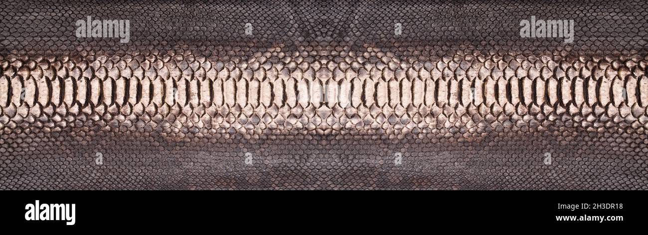 Natural snake skin is used for luxury clothes and accessories, suitable ...