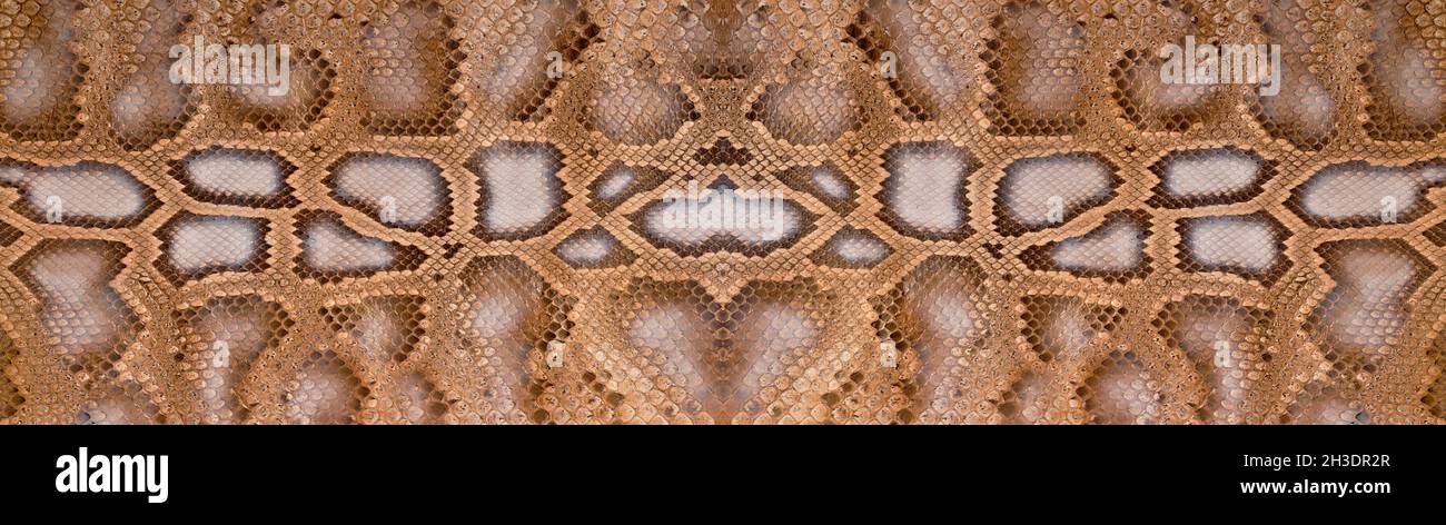 Natural snake skin is used for luxury clothes and accessories, suitable ...