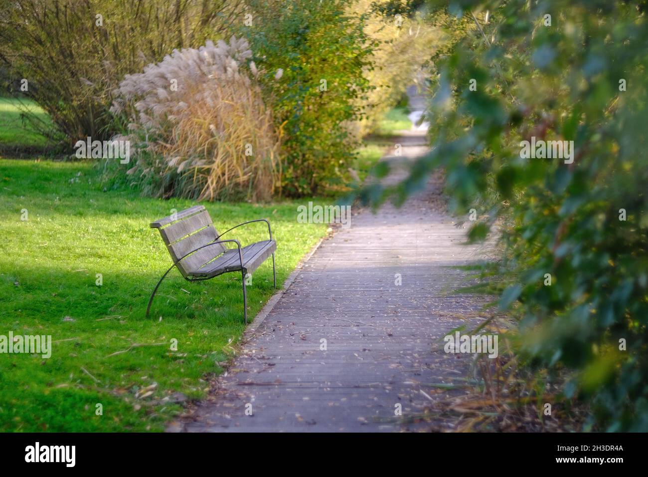 A lonely bench in autumn Stock Photo - Alamy