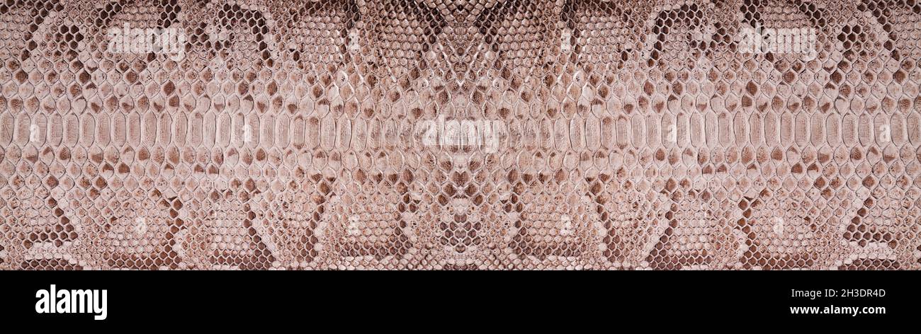 Natural snake skin is used for luxury clothes and accessories, suitable ...