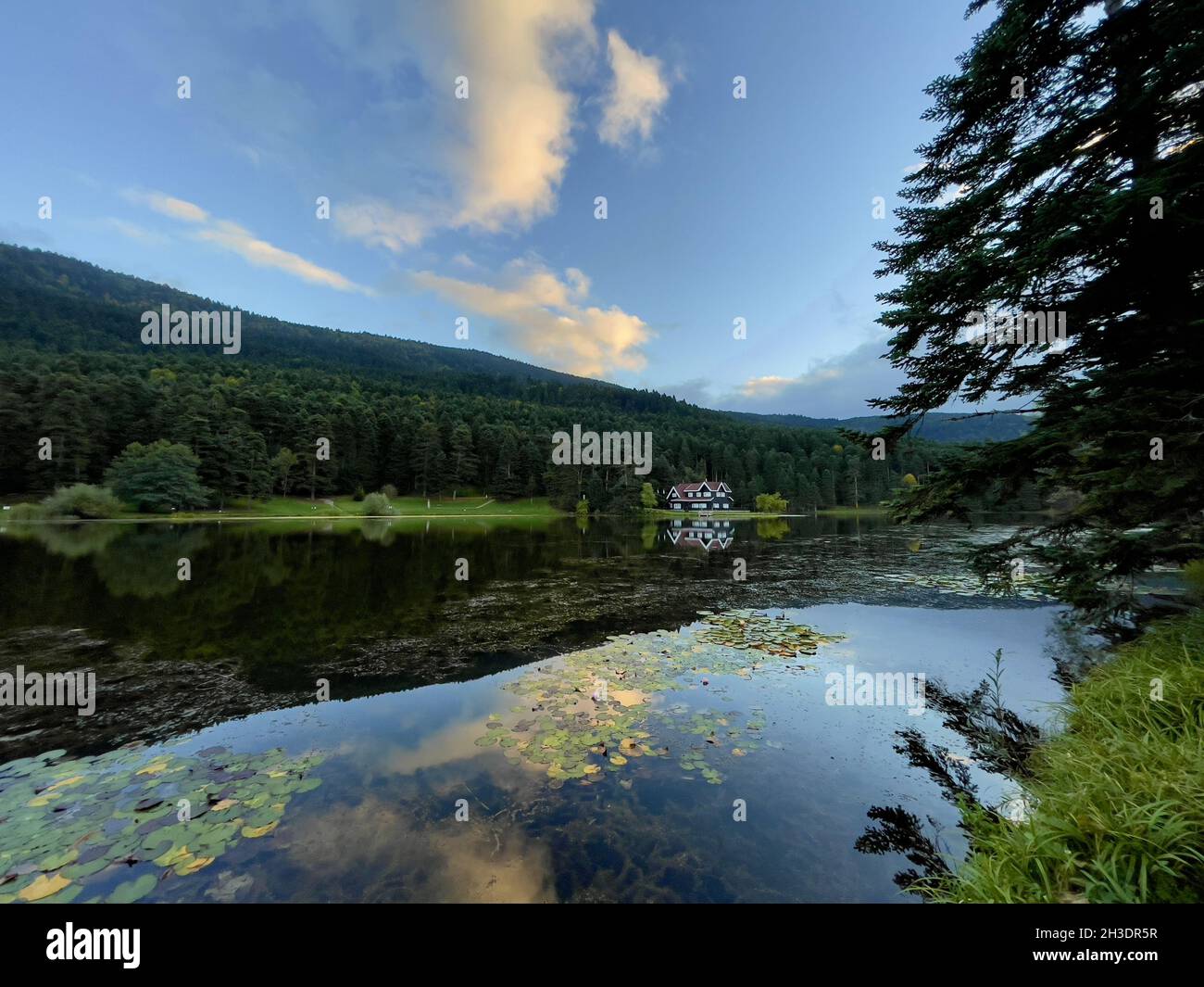 Lake in the Golcuk Nature Park, Bolu, Turkey Stock Photo - Alamy