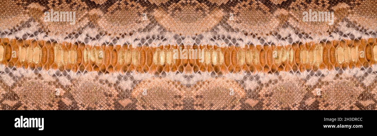 Natural snake skin is used for luxury clothes and accessories, suitable ...