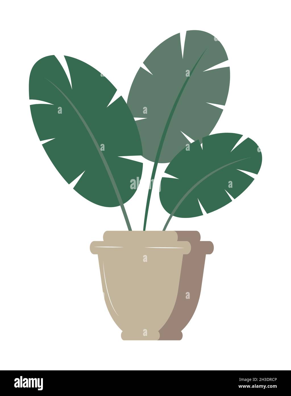 Simple ficus in pot, rubber plant illustration. Home plant icon vector ...