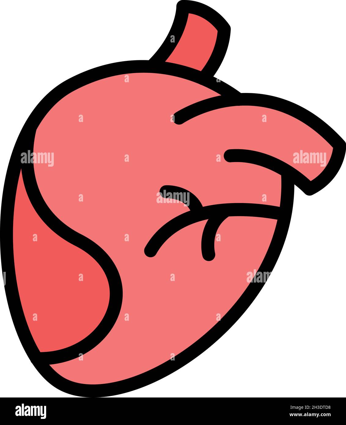 Human heart icon. Outline human heart vector icon color flat isolated ...