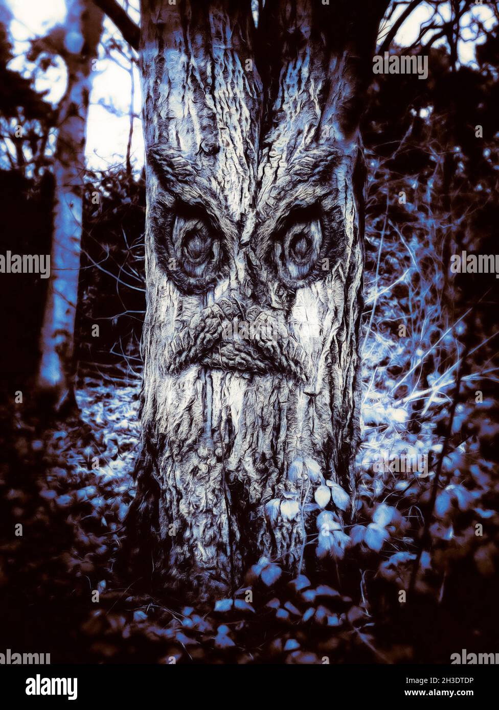 Ancient forest tree Monster in an eerie cross processed tone Stock ...