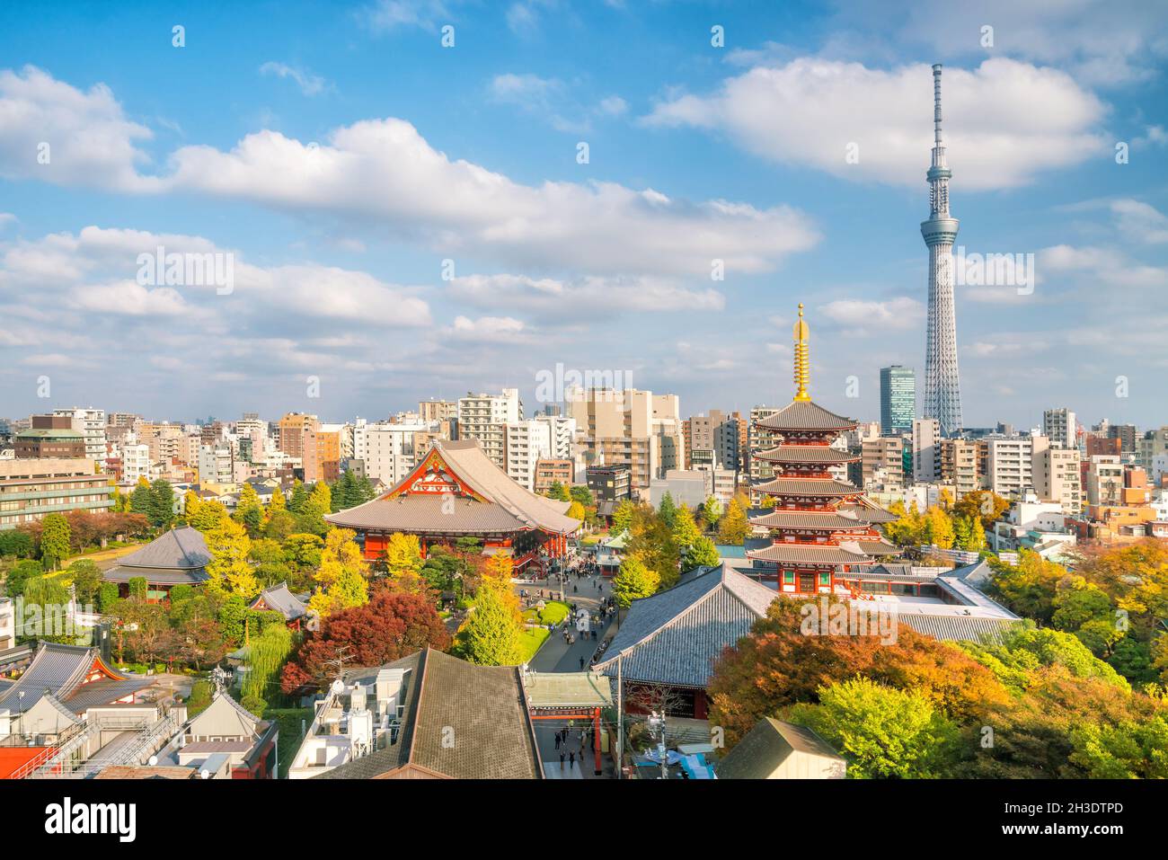Sensoji Temple from top view, located in Asakusa district, Tokyo, Japan ...
