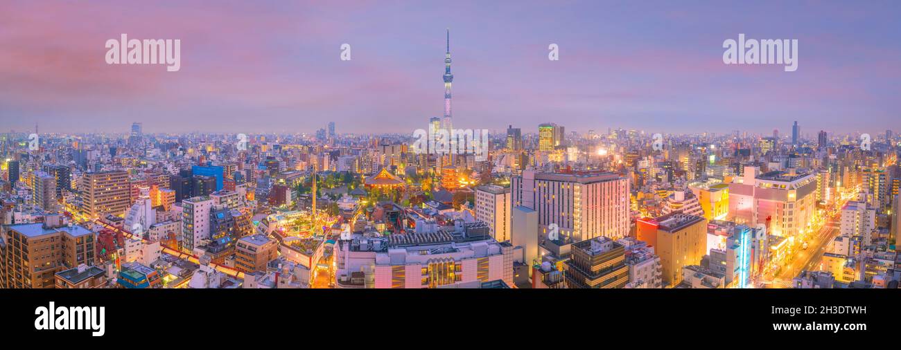 Panorama shot of Tokyo city skyline in Japan Stock Photo - Alamy