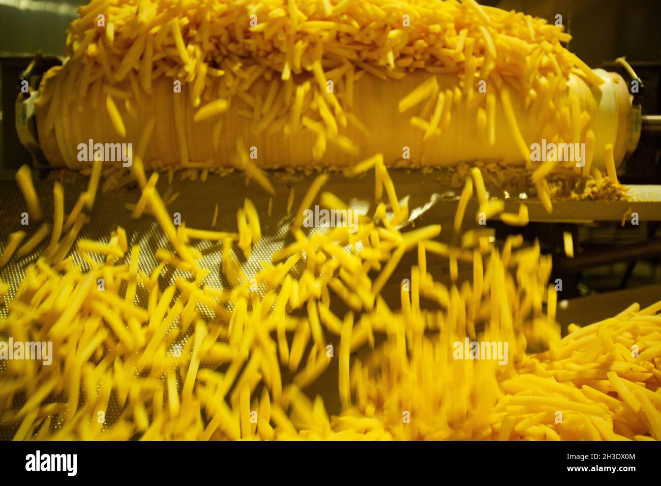 Production line of a potato factory. French fries - fast food Stock ...