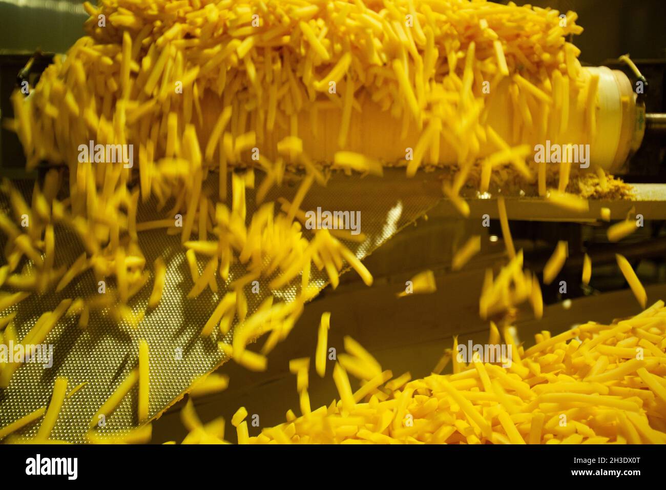 Production line of a potato factory. French fries - fast food Stock ...
