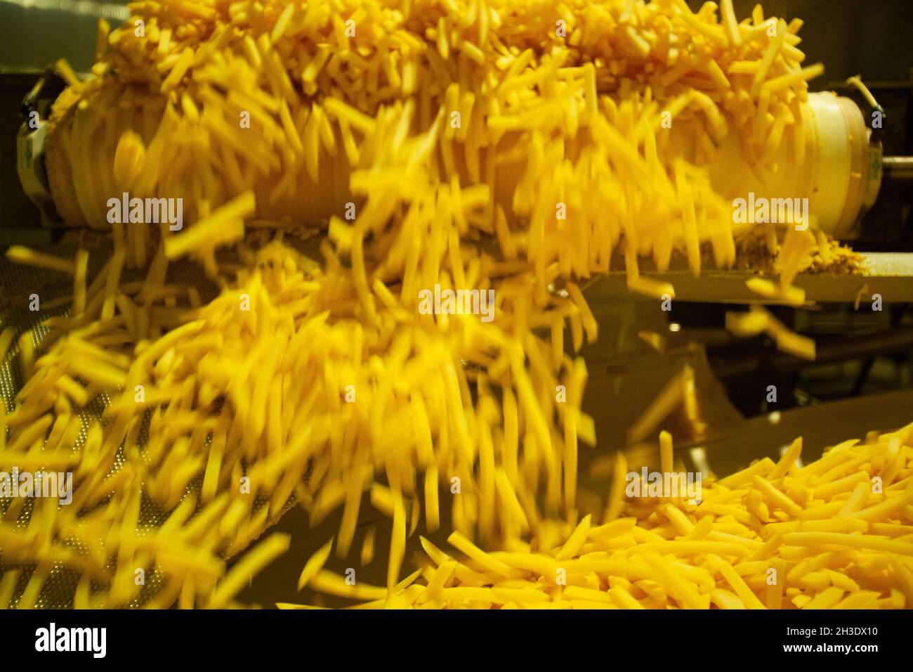 Production line of a potato factory. French fries - fast food Stock ...
