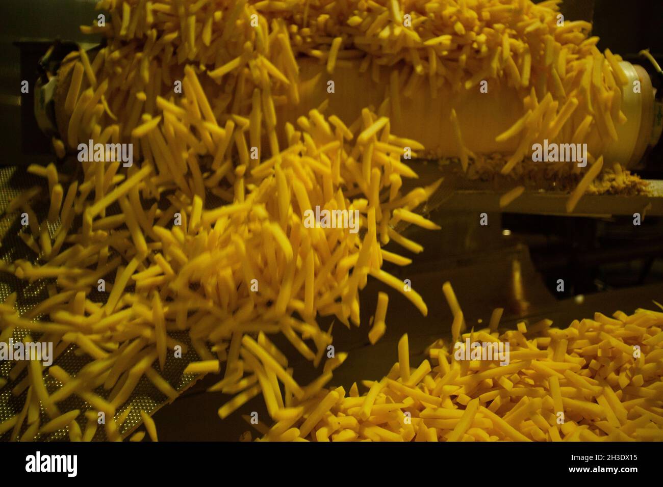 Production line of a potato factory. French fries - fast food Stock ...